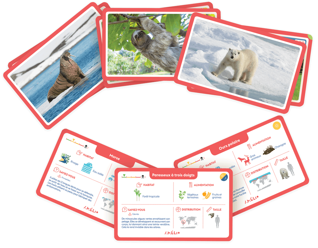 50+ façons de jouer avec les mammifères – L'atelier de Charlotte