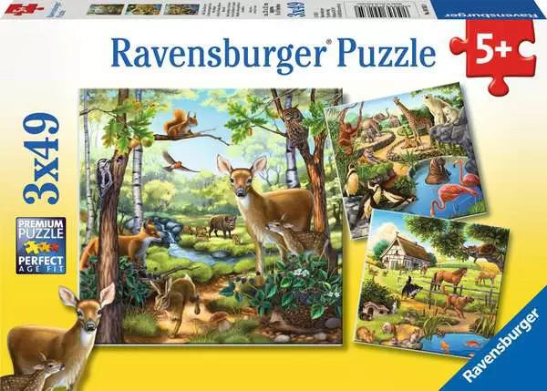 Casse-tête - Forêt/Zoo/Animaux domestiques (3 x 49 pcs) – L'atelier de ...
